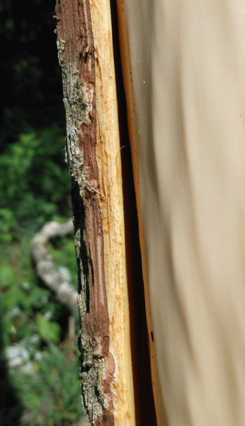 HOW TO PEEL TREES – Digging in the Driftless