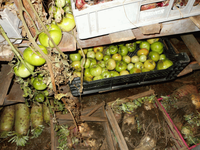TOURING ROOT CELLARS – Digging in the Driftless