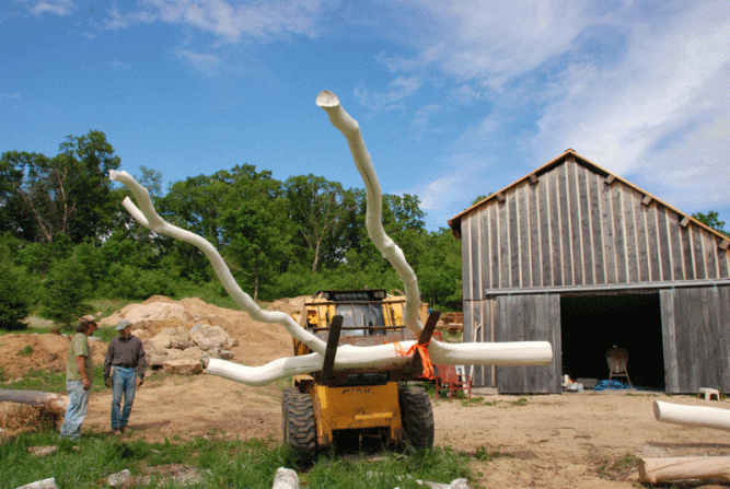 WHOLE TREE TIMBER FRAMING BEGINS AT UNDERHILL HOUSE – Digging in the ...