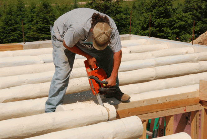 WHOLE TREE TIMBER FRAMING BEGINS AT UNDERHILL HOUSE – Digging in the ...