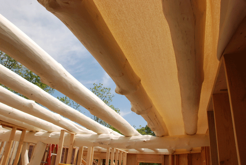 WHOLE TREE TIMBER FRAMING BEGINS AT UNDERHILL HOUSE – Digging in the ...