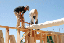 WHOLE TREE TIMBER FRAMING BEGINS AT UNDERHILL HOUSE – Digging in the ...