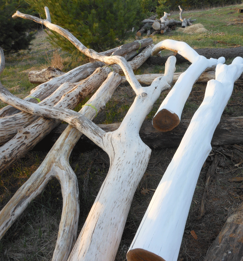 WHOLE TREE TIMBER FRAMING BEGINS AT UNDERHILL HOUSE – Digging in the ...